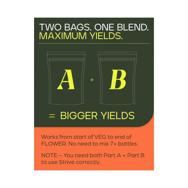 Strive Nutrient System – 2 part Bundle– strivenutrients